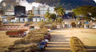 Our History | ASR Group